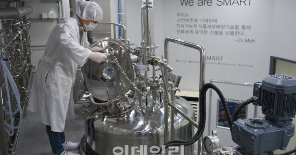 Bio FD&C, Curocell, ST Pharm Surge on Commercialization Gains[K-Bio Pulse]