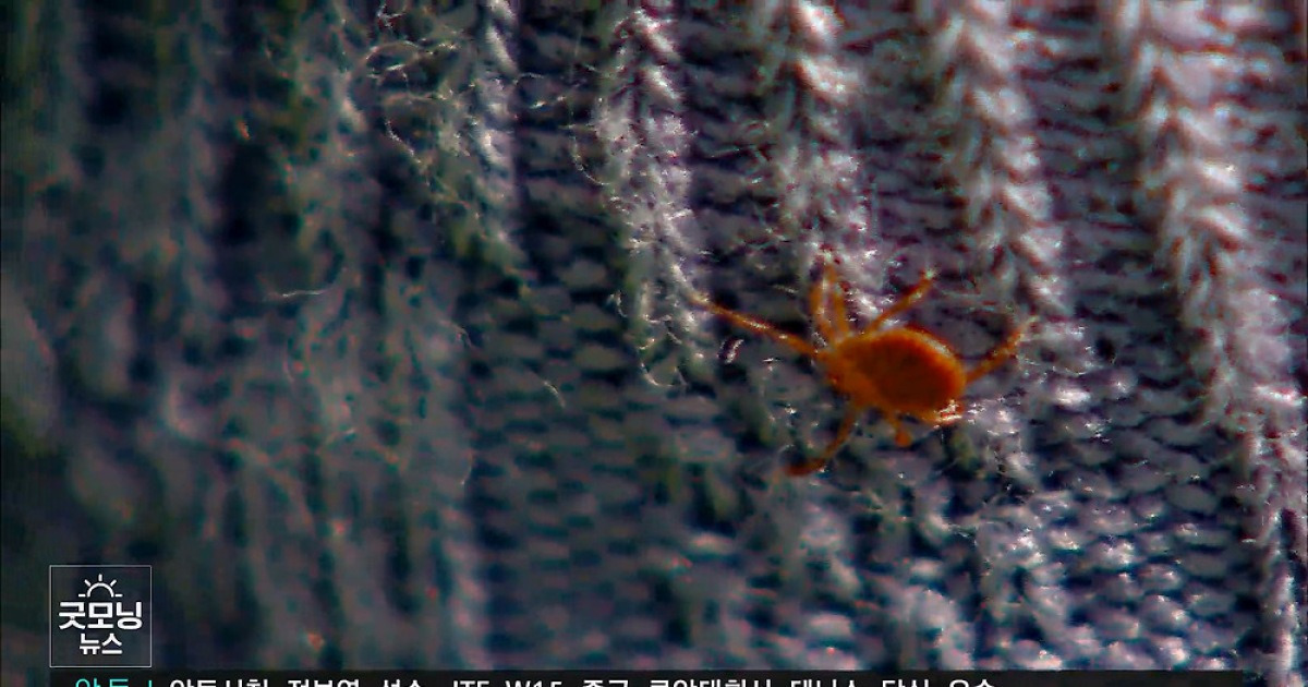 대구 SFTS 확진 8명..."고온다습 환경 속 진드기 매개 감염병 주의"