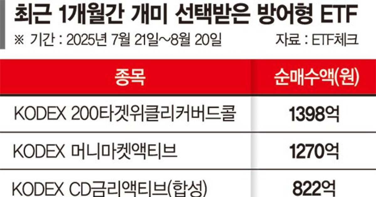 "3100선 횡보장? 더 떨어질지도" 방어형ETF에 개미 뭉칫돈 몰려