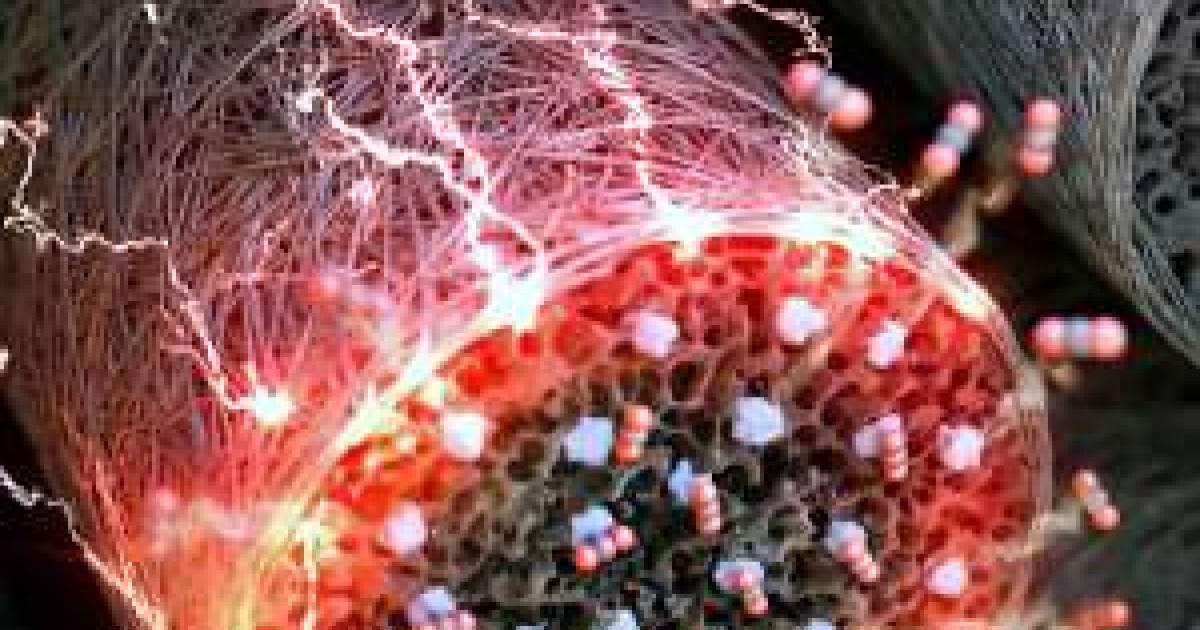 KAIST, 스마트폰 전력으로 95% 이상 고순도 CO2 포집 성공