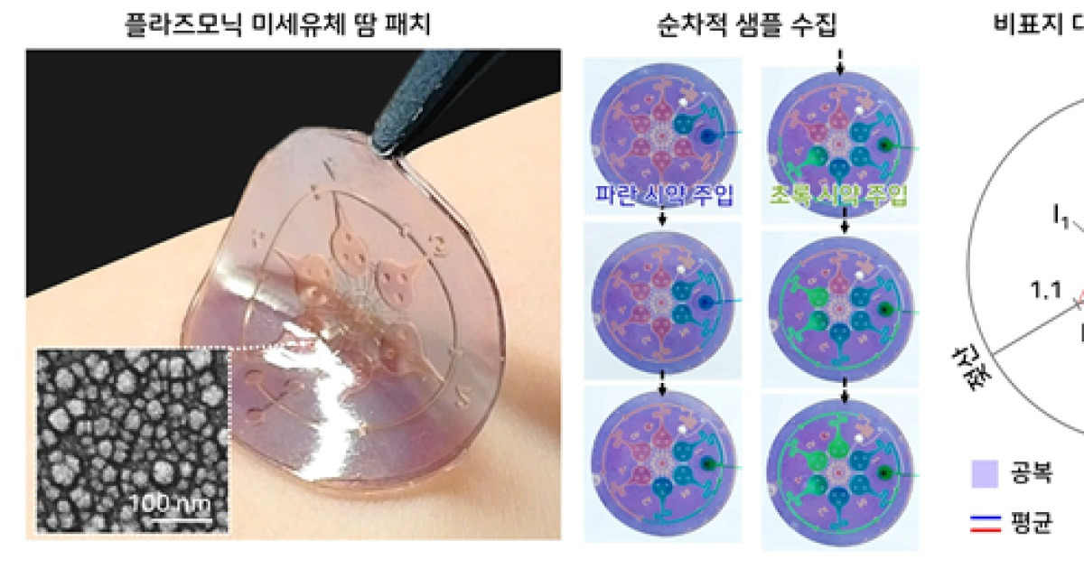 "혈액 대신 '땀'으로 진단"…KAIST, 스마트 땀 패치 개발