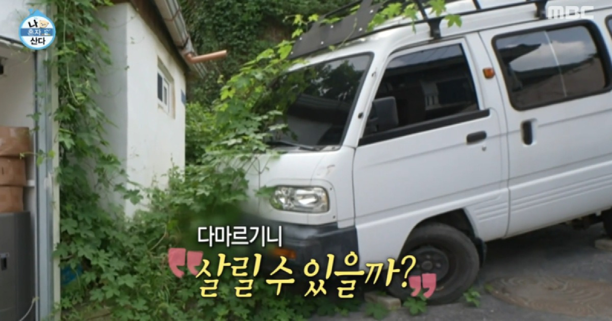 [TVis] 넝쿨이 뒤덮은 김대호 집…다마르기니까지 먹혔다 ‘충격’(‘나혼산’)
