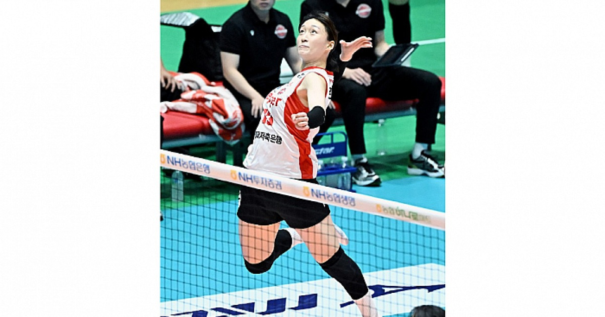 AI페퍼스, KOVO컵 충격의 11연패