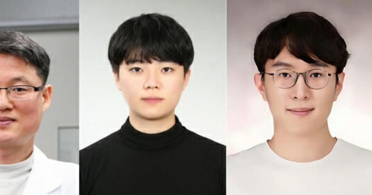 UNIST 아산화질소 99.98% 저온 분해 기술 개발…생산단가 기존대비 8배 저렴