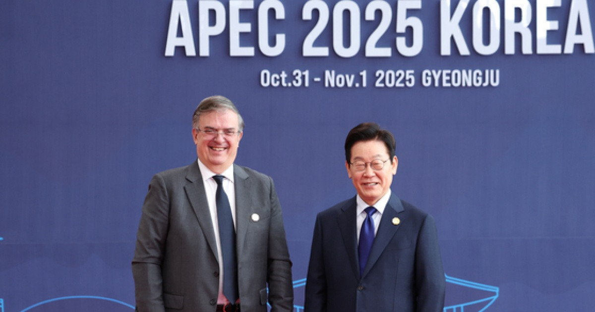 멕시코 장관, APEC GD 직관 자랑 이어…BTS 진 콘서트 관람
