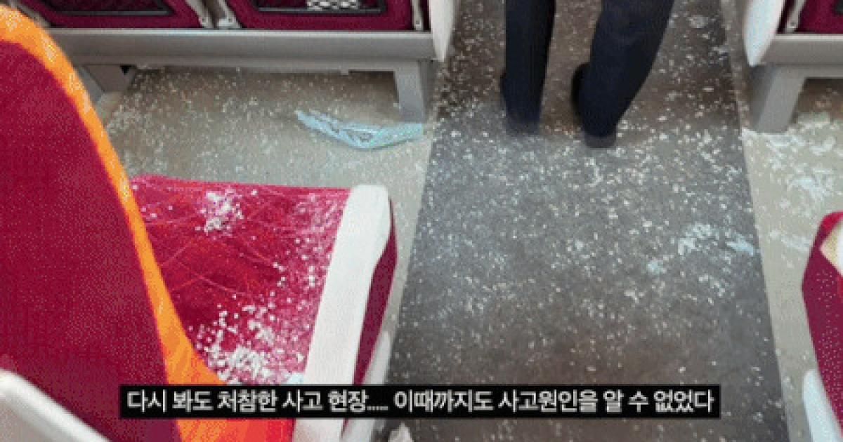 일본 여행 중 아찔 열차사고 당한 유튜버 "영사관, 콜센터 떠넘기 급급" 한숨 [영상]