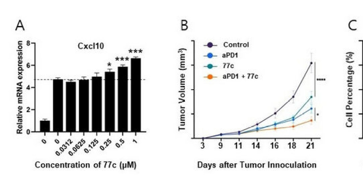 GIST, 면역세포 잠든 '공격 본능' 깨워 암세포 잡는다