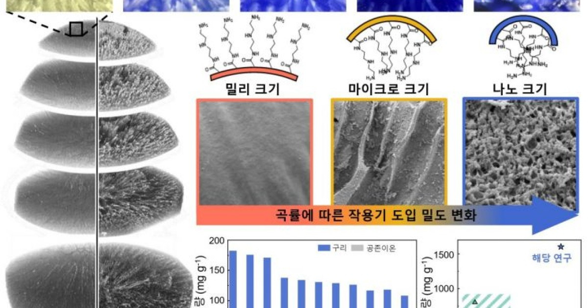 [과학을읽다]폐수에서 금속이 '자란다'…KIST, 세계 최고 성능 구리 회수 캡슐 개발