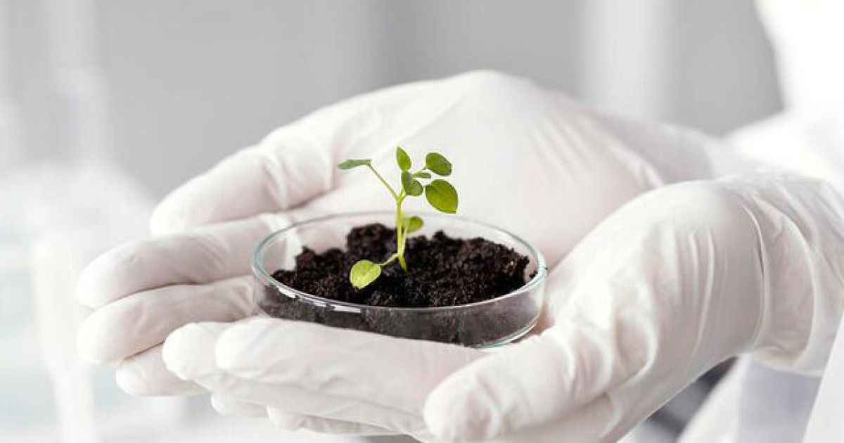 ‘GMO 완전표시제’ 법 생겼지만…심의 조직도 없어