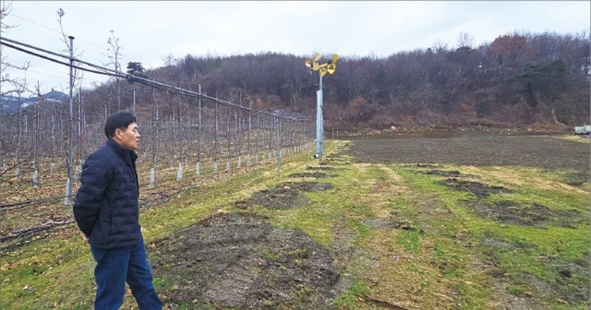 계약에 ‘볼모’된 ‘엔비’ 사과농가…“불공정한 내용 변경을”