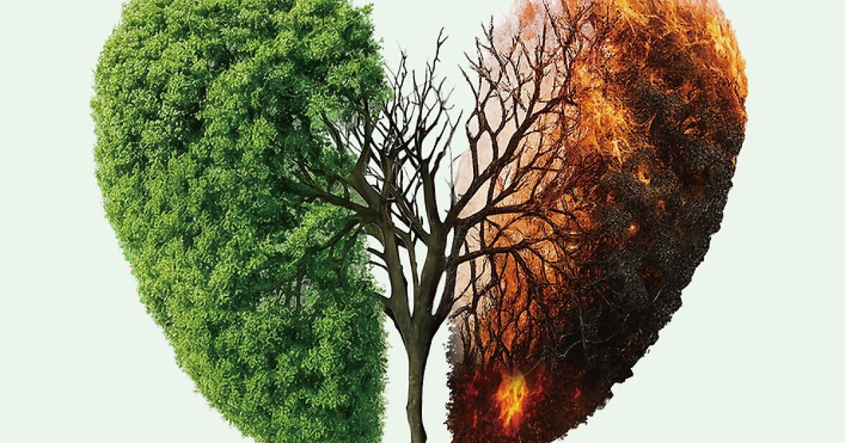 ‘과학이 숲을 살린다’…국립산림과학원, ‘2026 산림·임업 전망’ 개최