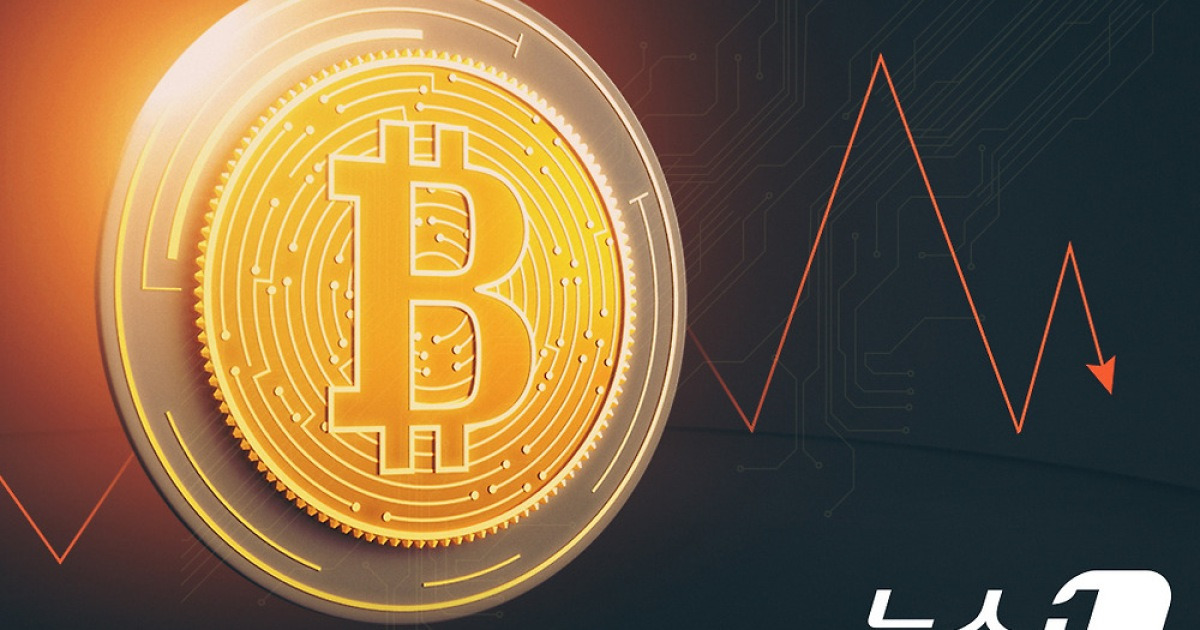 올해 가장 많이 오른 대형코인은 'BNB·트론'…도지코인은 60% 폭락