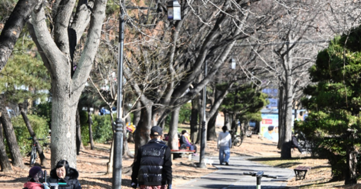 [사진, 찍다, 쉼표] 황혼의 고독, 머물 곳 없는 발걸음