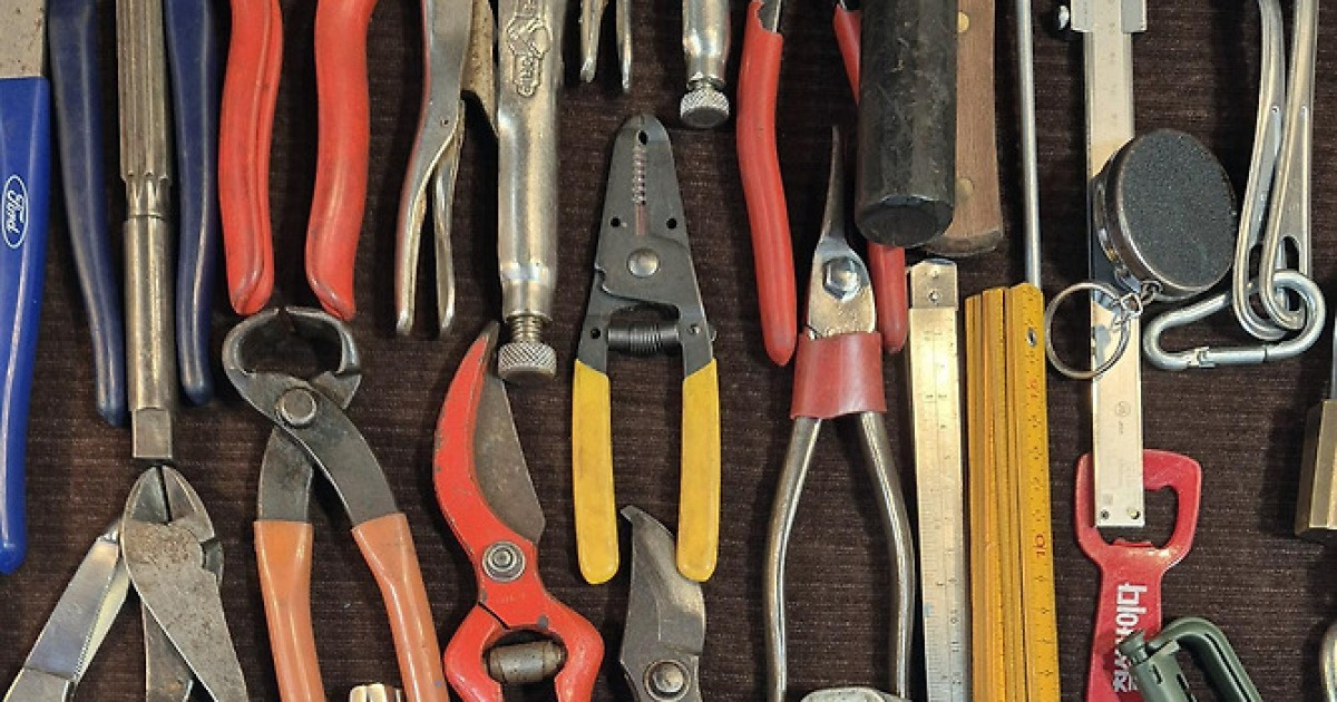 [고양이 눈]다시 꿈꾸며