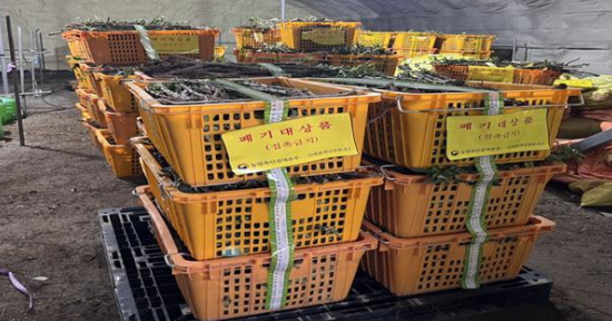 반려동물 물품이라더니…중국산 농산물 역대급 불법 수입하다 적발된 일당