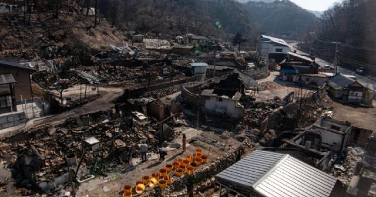 역대 최악 산불 낸 2명 집행유예… 쓰레기 불법 소각, 여전하다