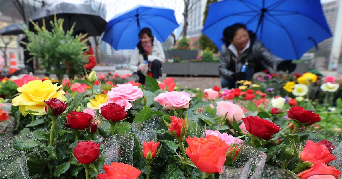 봄비 내리다 오전에 그쳐…낮 최고 21도 '따뜻'(종합)