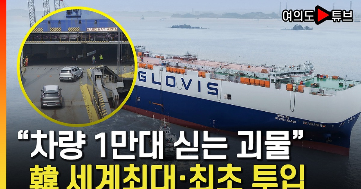 14층 230m 길이...글로벌 운반선 부족 해소 [여의도 Pick!]