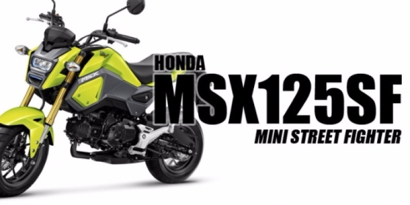 진정한 미니 스트리트 파이터로 돌아온 HONDA MSX125SF | 라이드매거진
