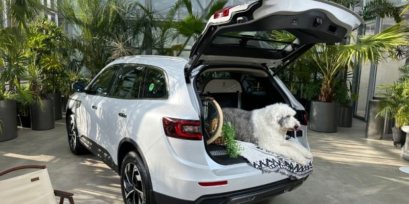 2인승 준대형 SUV 'QM6 더 퀘스트'…평일엔 화물밴, 주말엔 레저용 | 글로벌모빌리티