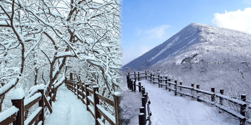 "겨울의 낭만, 눈꽃을 만나는 겨울산 BEST 4" | 여행톡톡