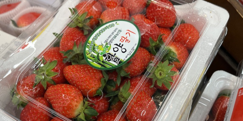 딸기 살 때 이것을 꼭 확인하세요 맛있는 제철 딸기 고르는 법 꿀하우스