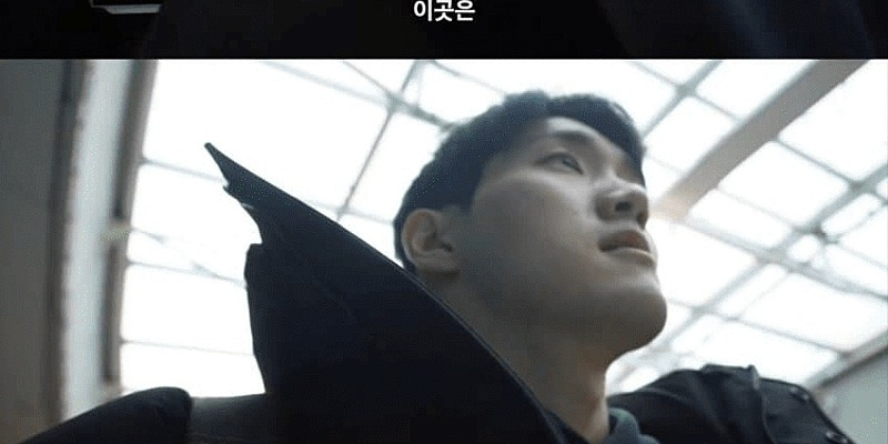 키 193cm 한국인이 충격받은 네덜란드 여행 | 에펨코리아