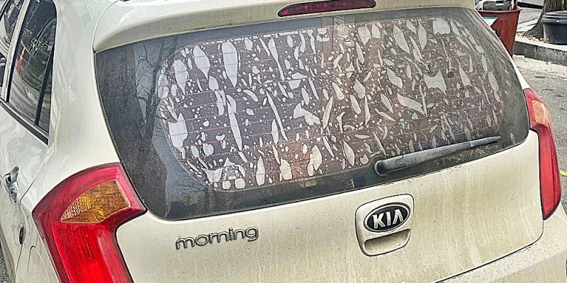 자동차 뒷유리 ‘뽀글뽀글’ 기포, 왜 생기고 어떻게 해결하나 | EV-Hotissue